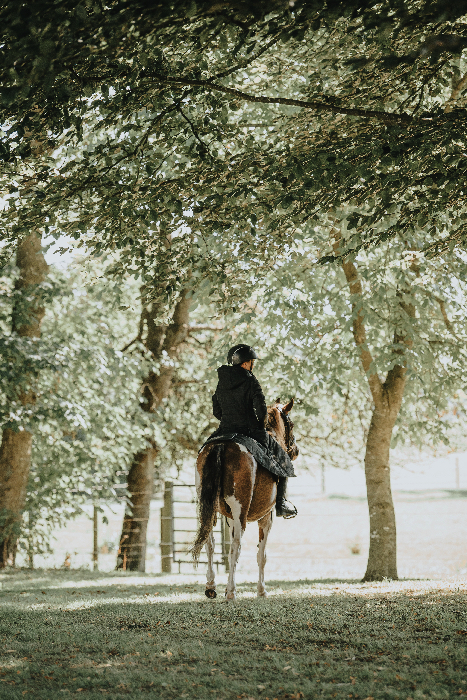 Collection - Equsana