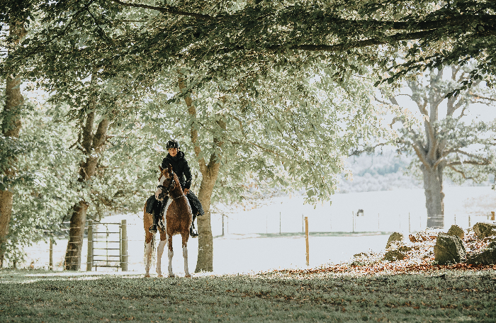 Collection - Equsana