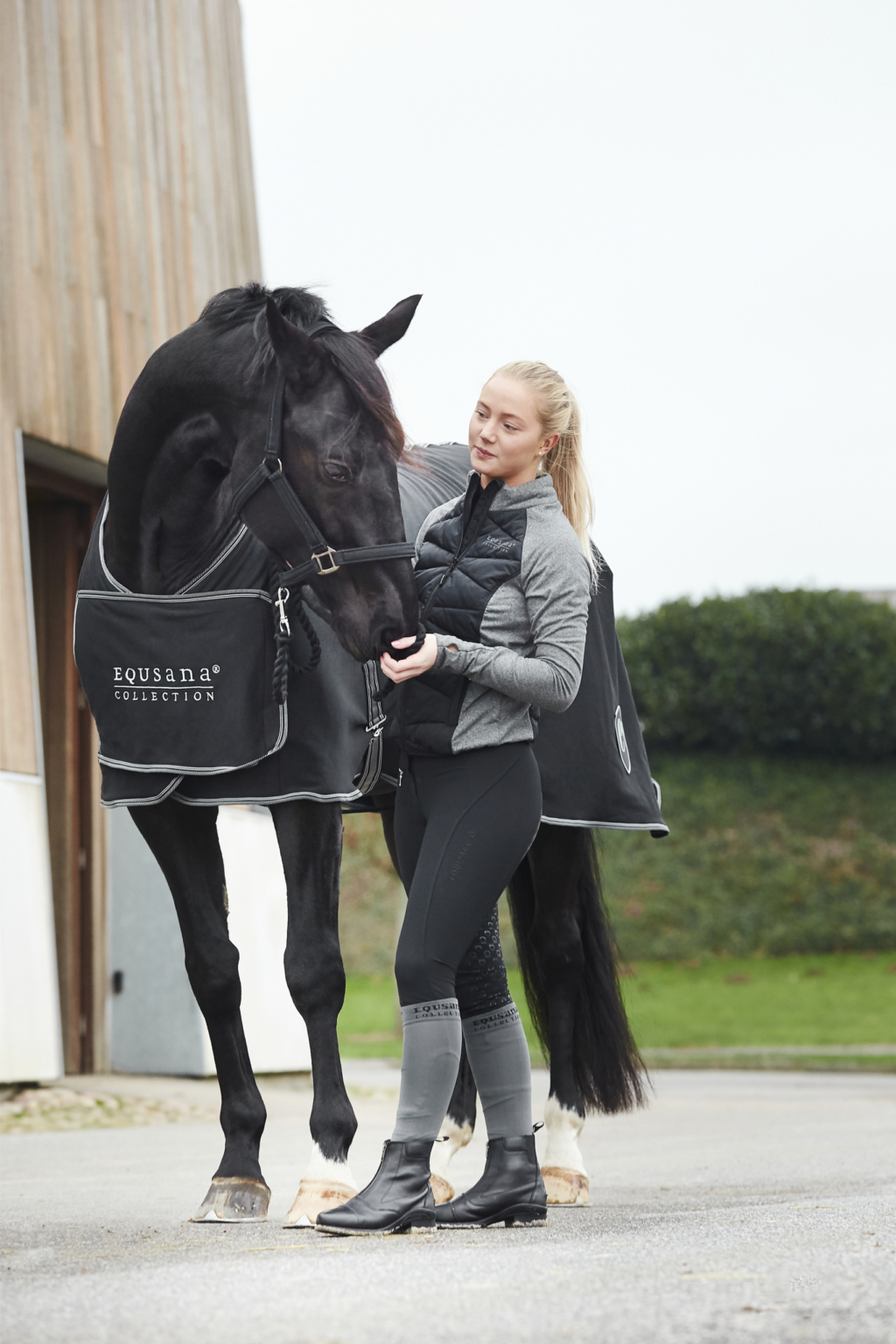 Collection - Equsana